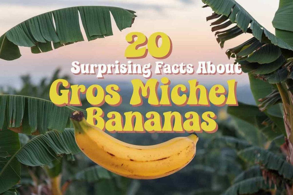 20 Surprising Facts About Gros Michel Bananas You Must Know